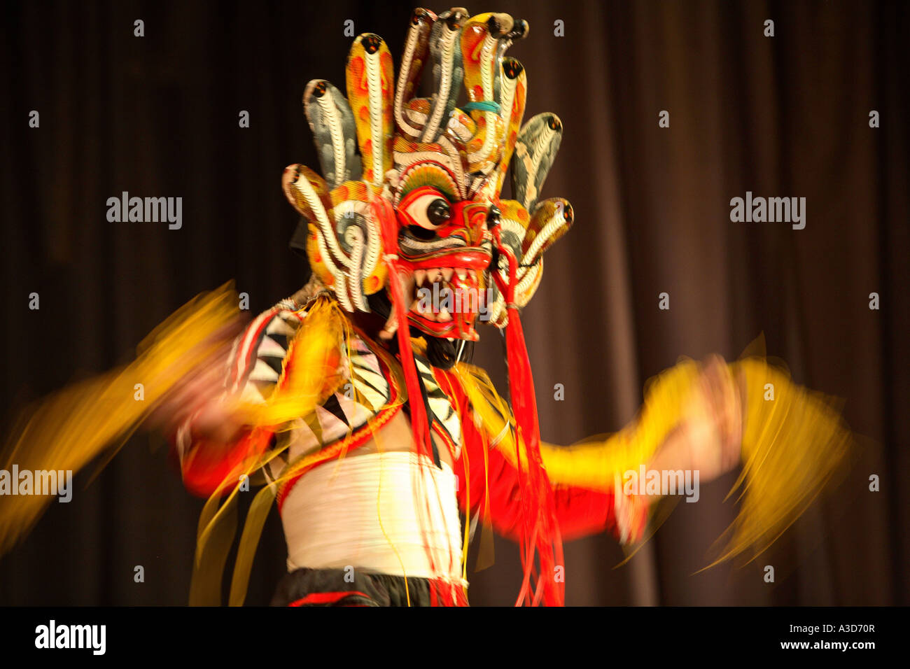 Portrait of world famous Kandy dancers in action performing on stage in ...