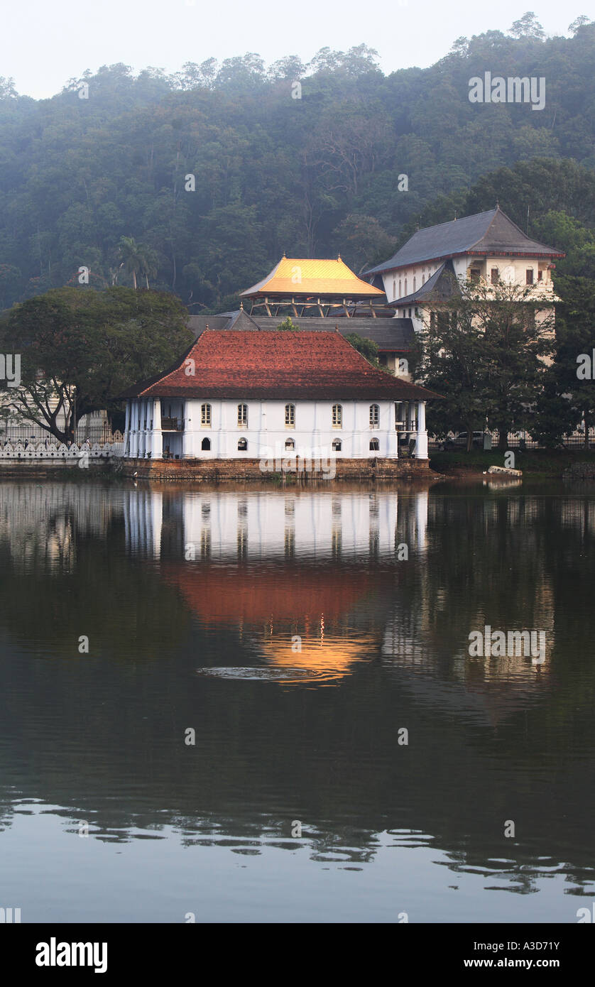 Vertical early morning landscape of the Temple of the Tooth, on shore ...