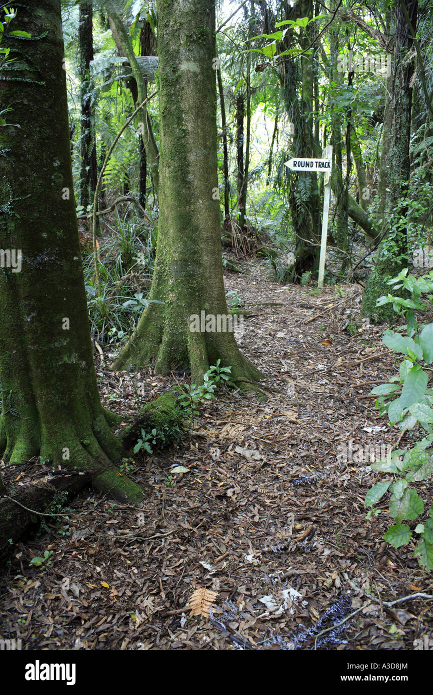 Signpost in New Zealand forest Stock Photo - Alamy