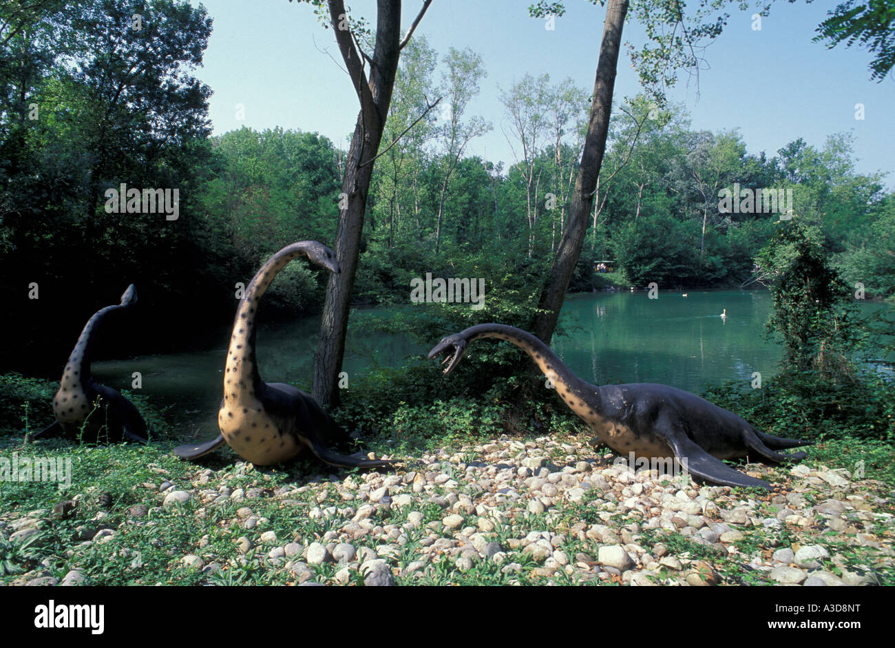 Fossil DINOSAUR Plesiosauro Stock Photo - Alamy