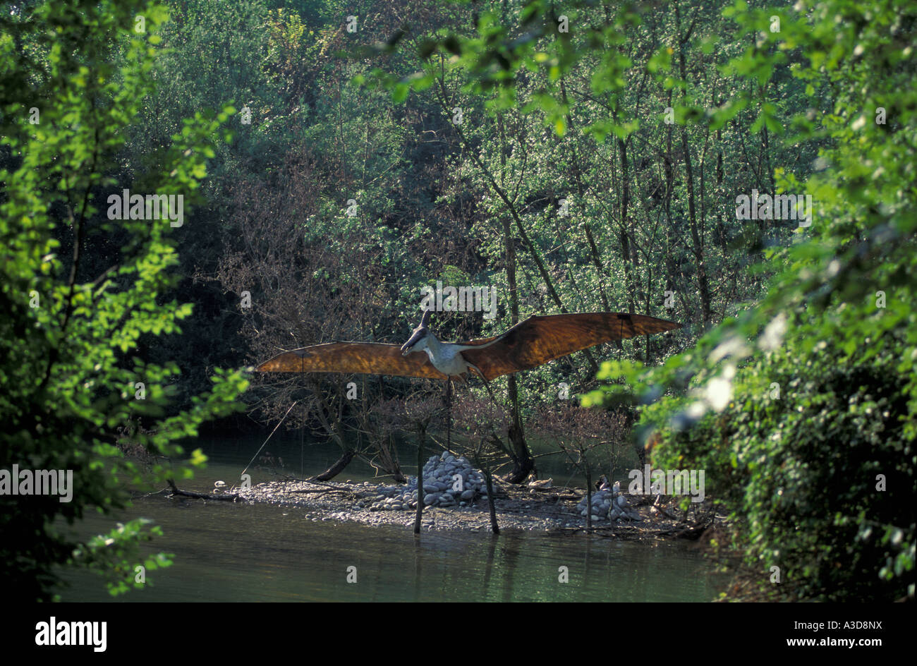 Science dinosaur pteranodonte hi-res stock photography and images - Alamy