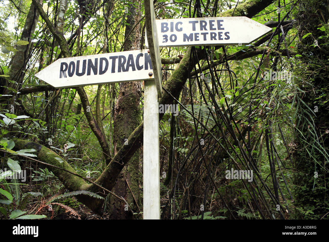 Signs on forest track, New Zealand Stock Photo - Alamy