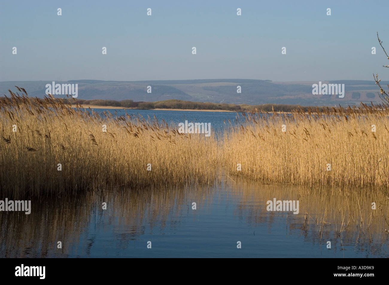 Kenfig burrows hi-res stock photography and images - Alamy