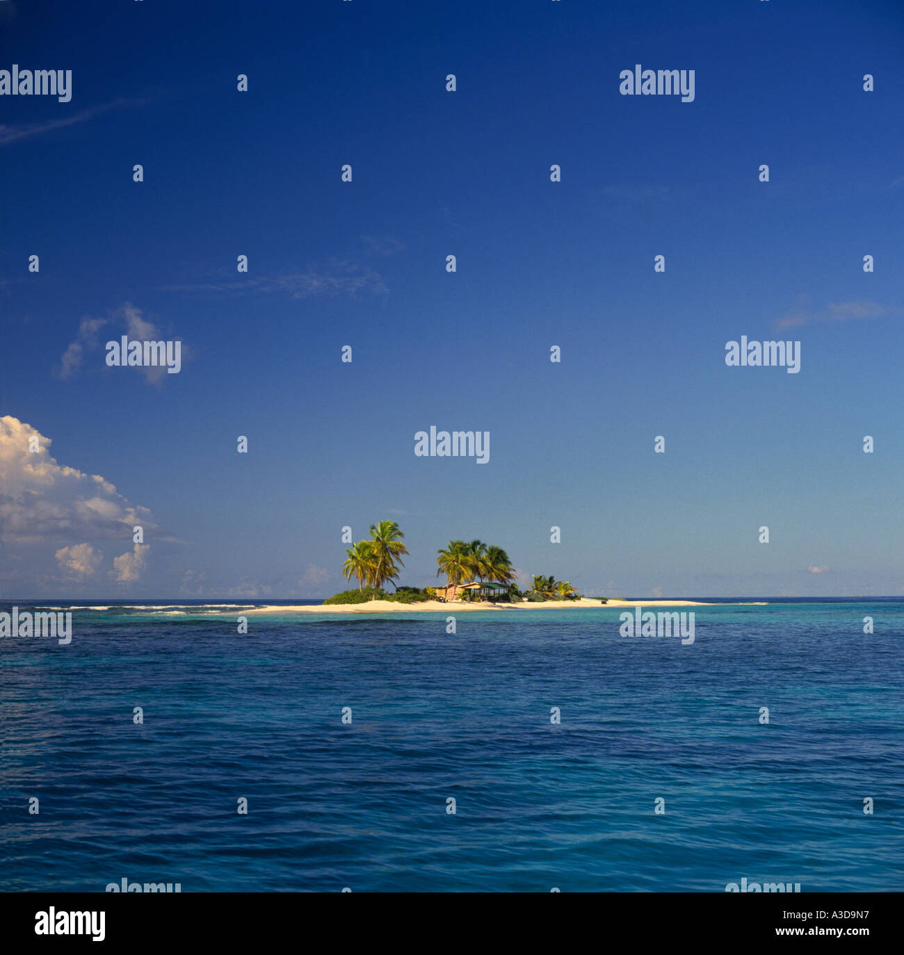 Typical idyllic dream style tropical desert island with palm trees ...