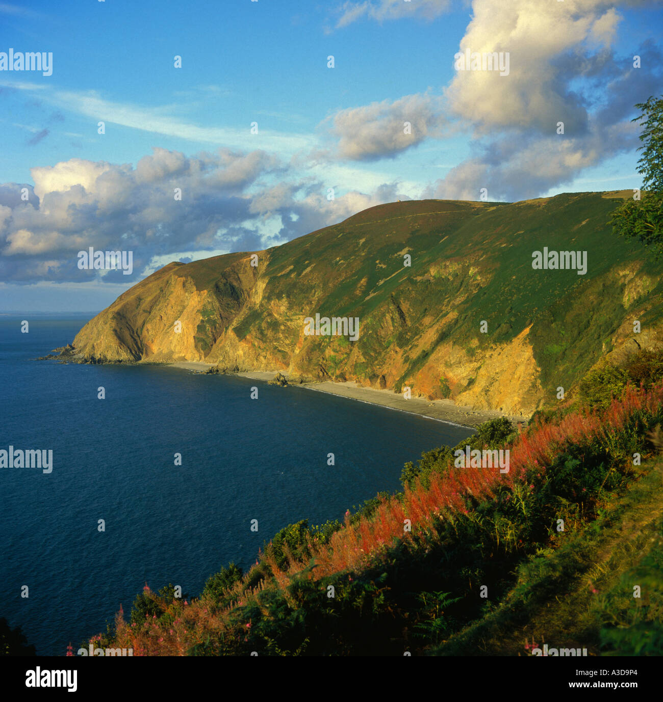 Countisbury Hill & Foreland Point with Sillery Sands at foot of steep ...