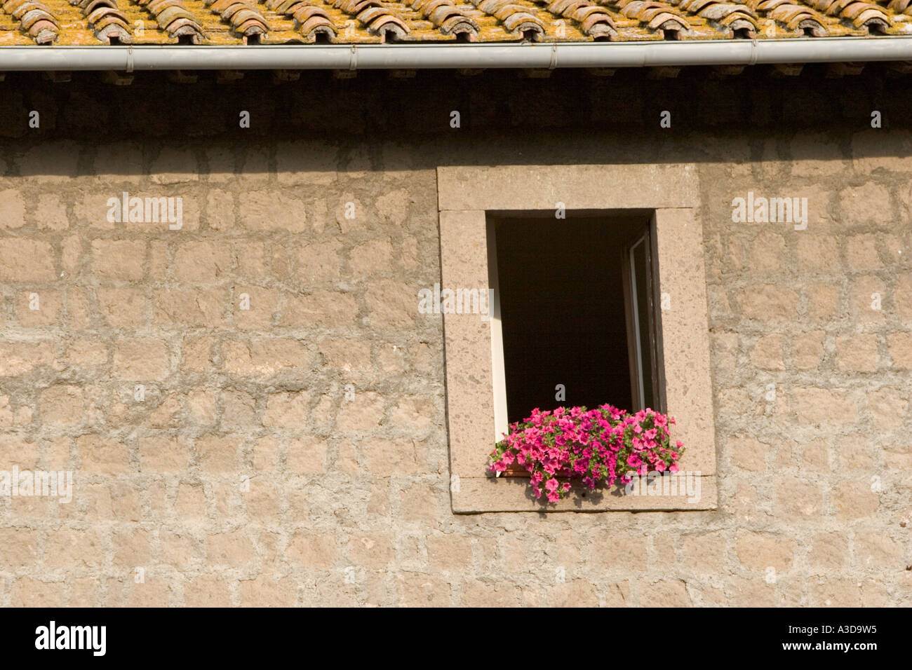Window of Palazzo Farnese, Viterbo, Lazio, Italy Stock Photo - Alamy