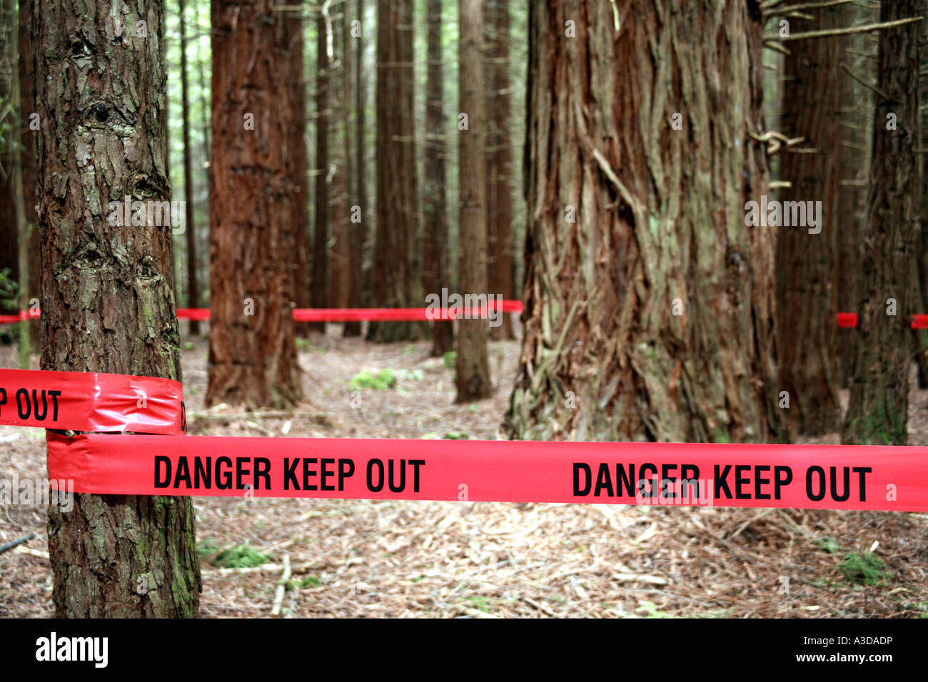 Warning in forest Stock Photo - Alamy