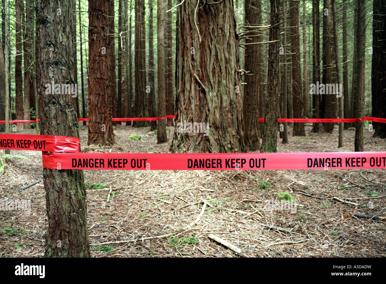 Warning in forest Stock Photo - Alamy