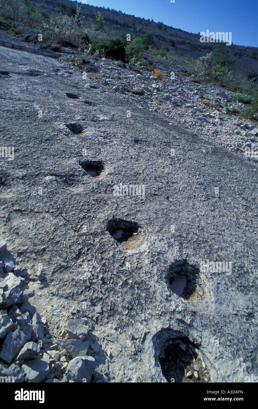 Dinosaur tracks hi-res stock photography and images - Alamy