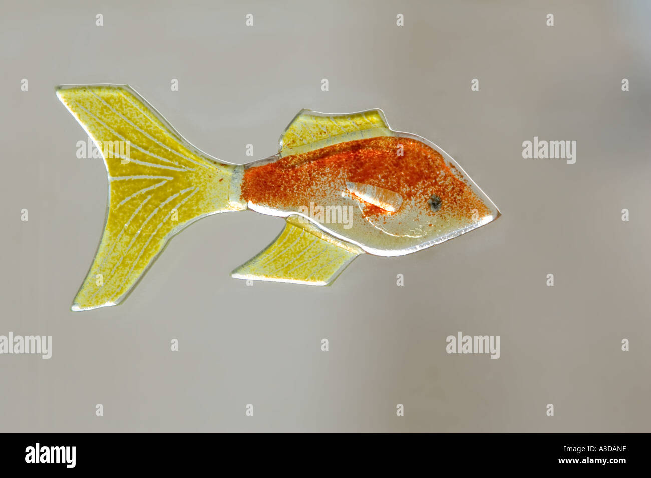 Glass fish on window Stock Photo - Alamy