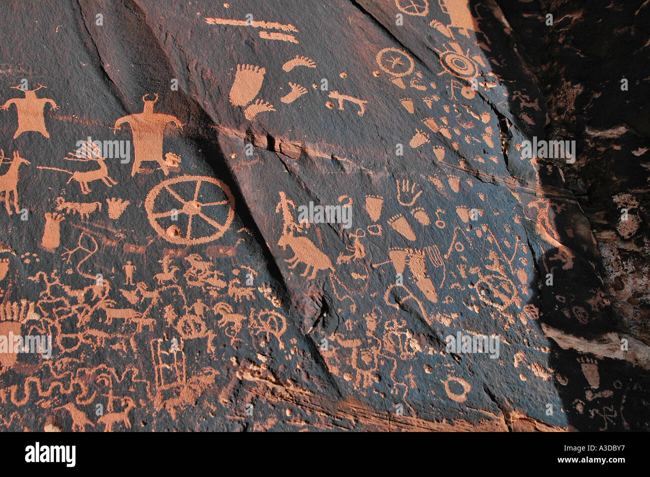 Newspaper Rock is a petroglyph panel etched in sandstone that records ...