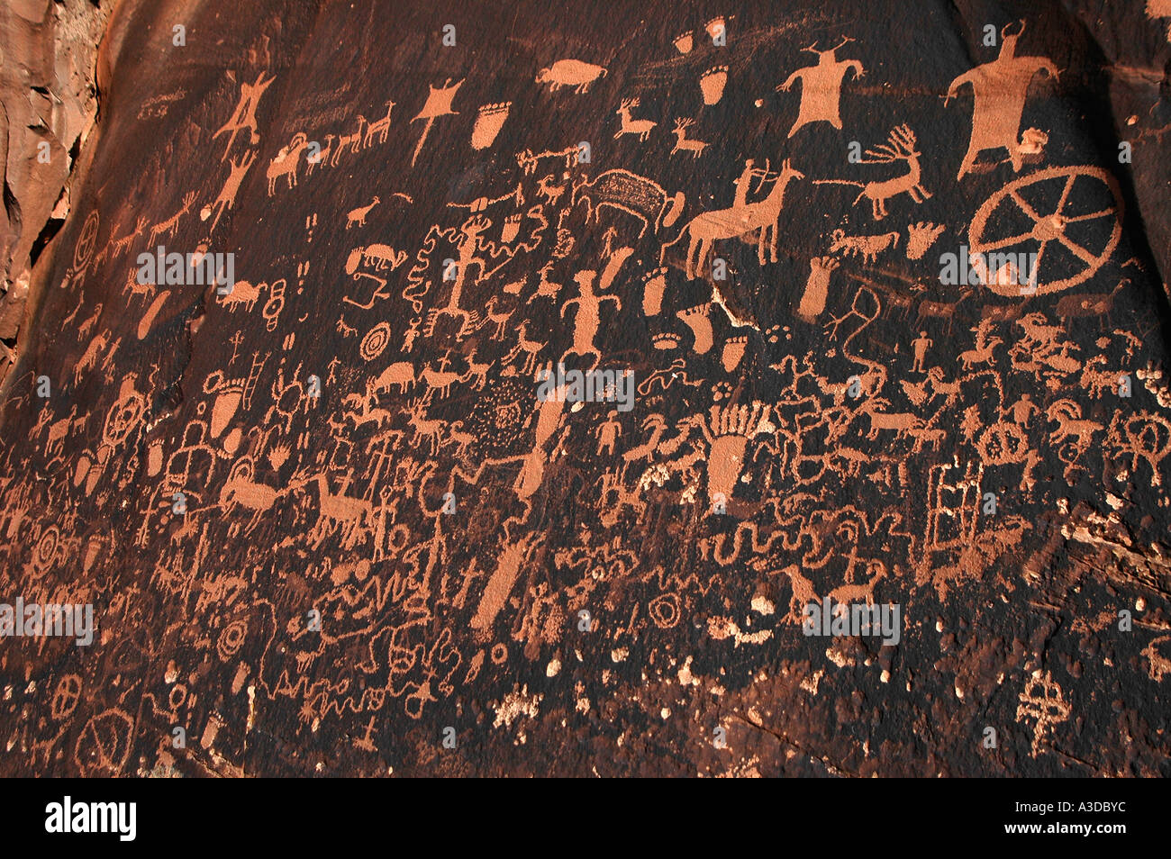 Newspaper Rock is a petroglyph panel etched in sandstone that records ...