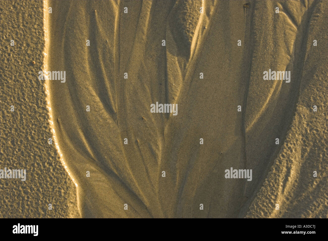 Concept / abstract - water patterns in sand Stock Photo - Alamy