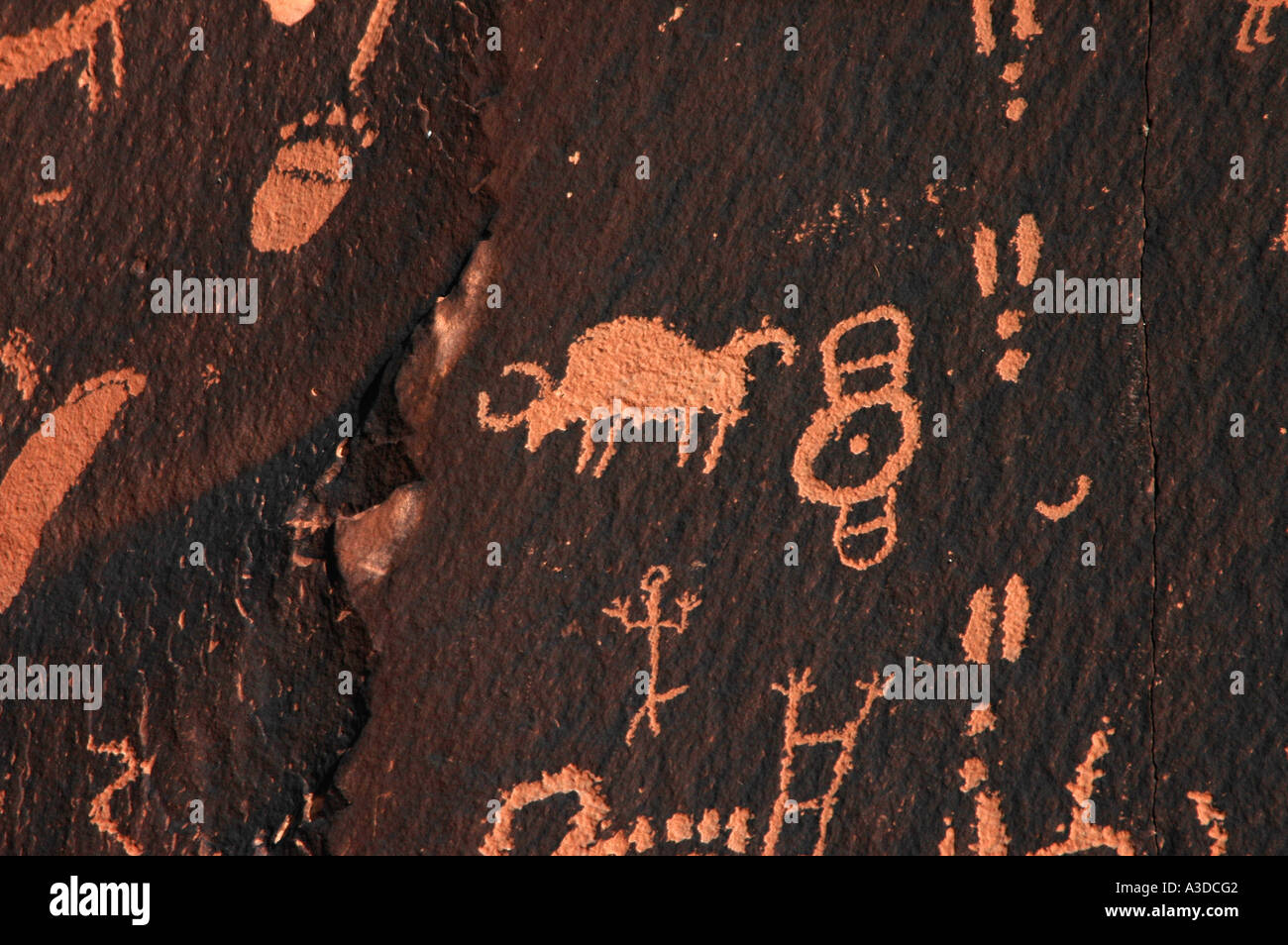 Newspaper Rock is a petroglyph panel etched in sandstone that records ...