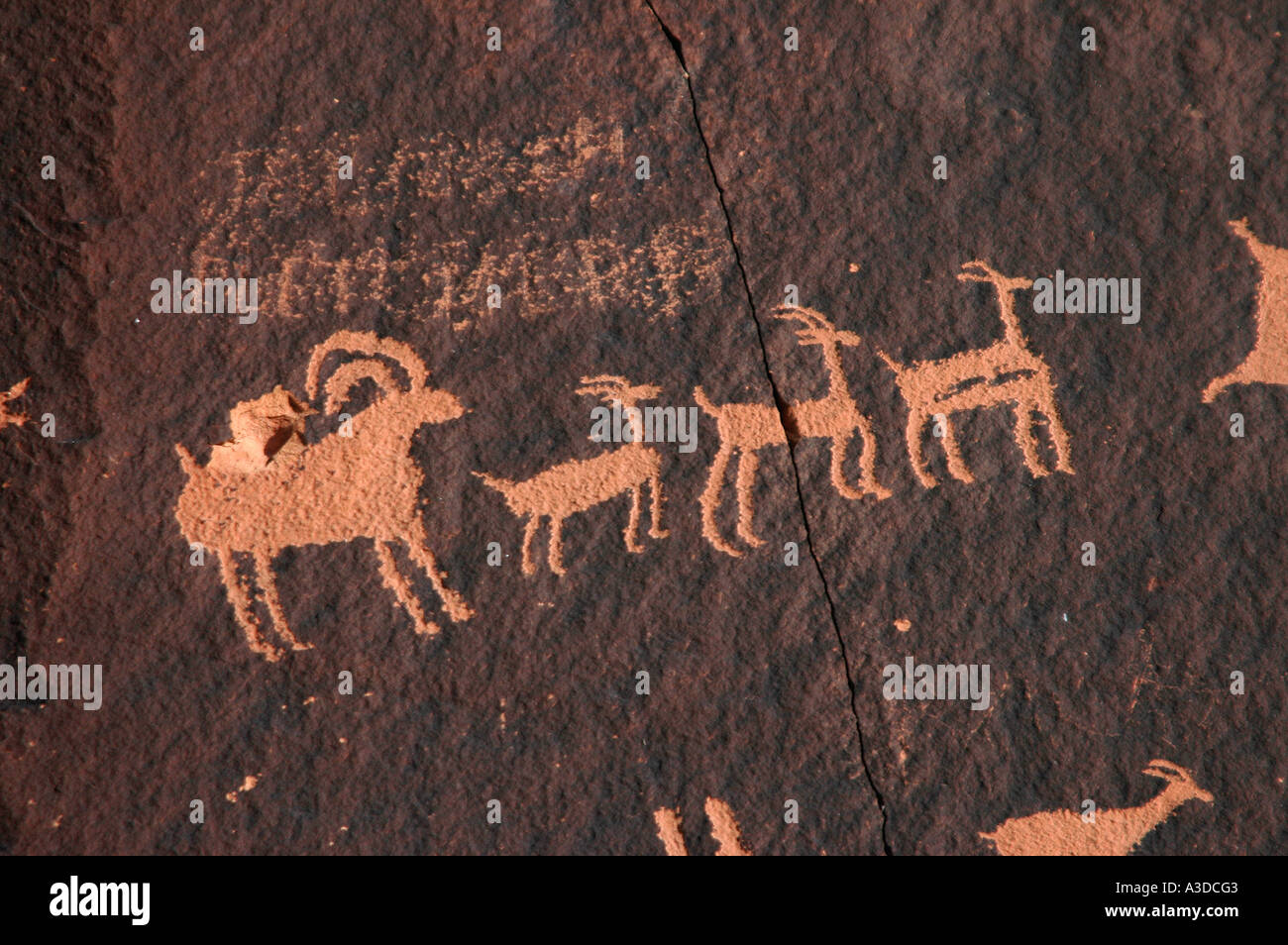 Newspaper Rock is a petroglyph panel etched in sandstone that records ...