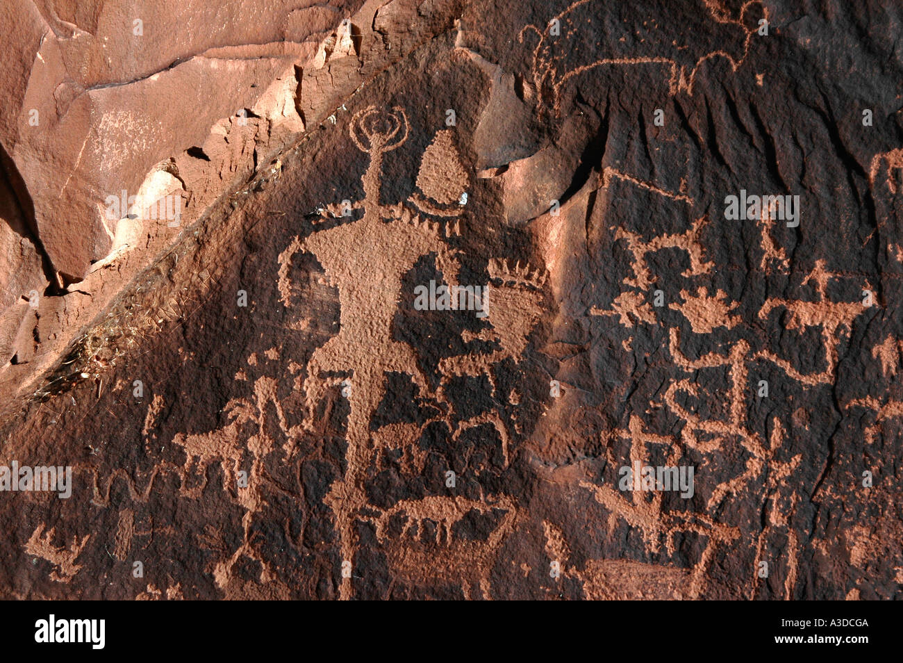 Newspaper Rock is a petroglyph panel etched in sandstone that records ...
