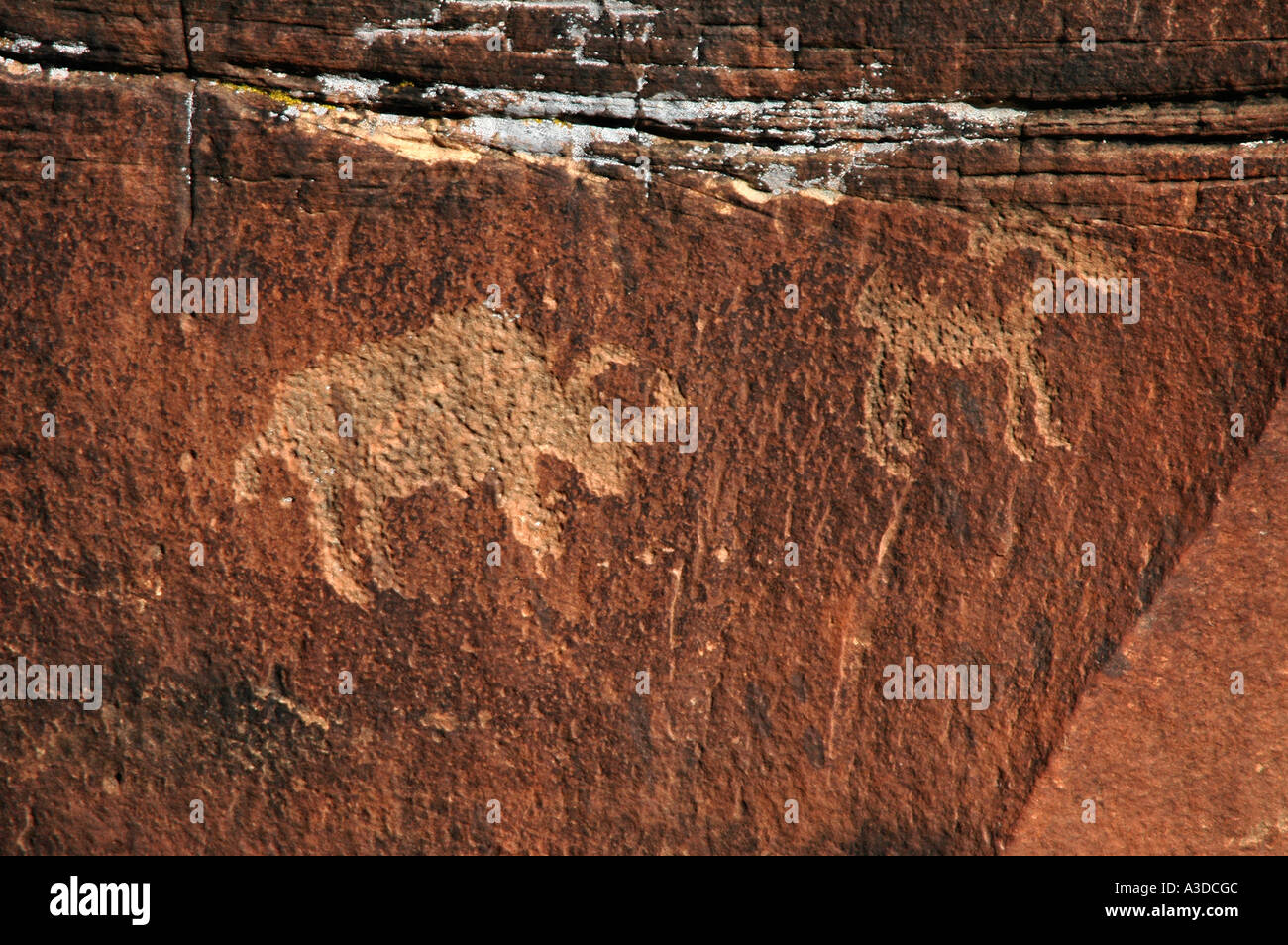 Newspaper Rock is a petroglyph panel etched in sandstone that records ...