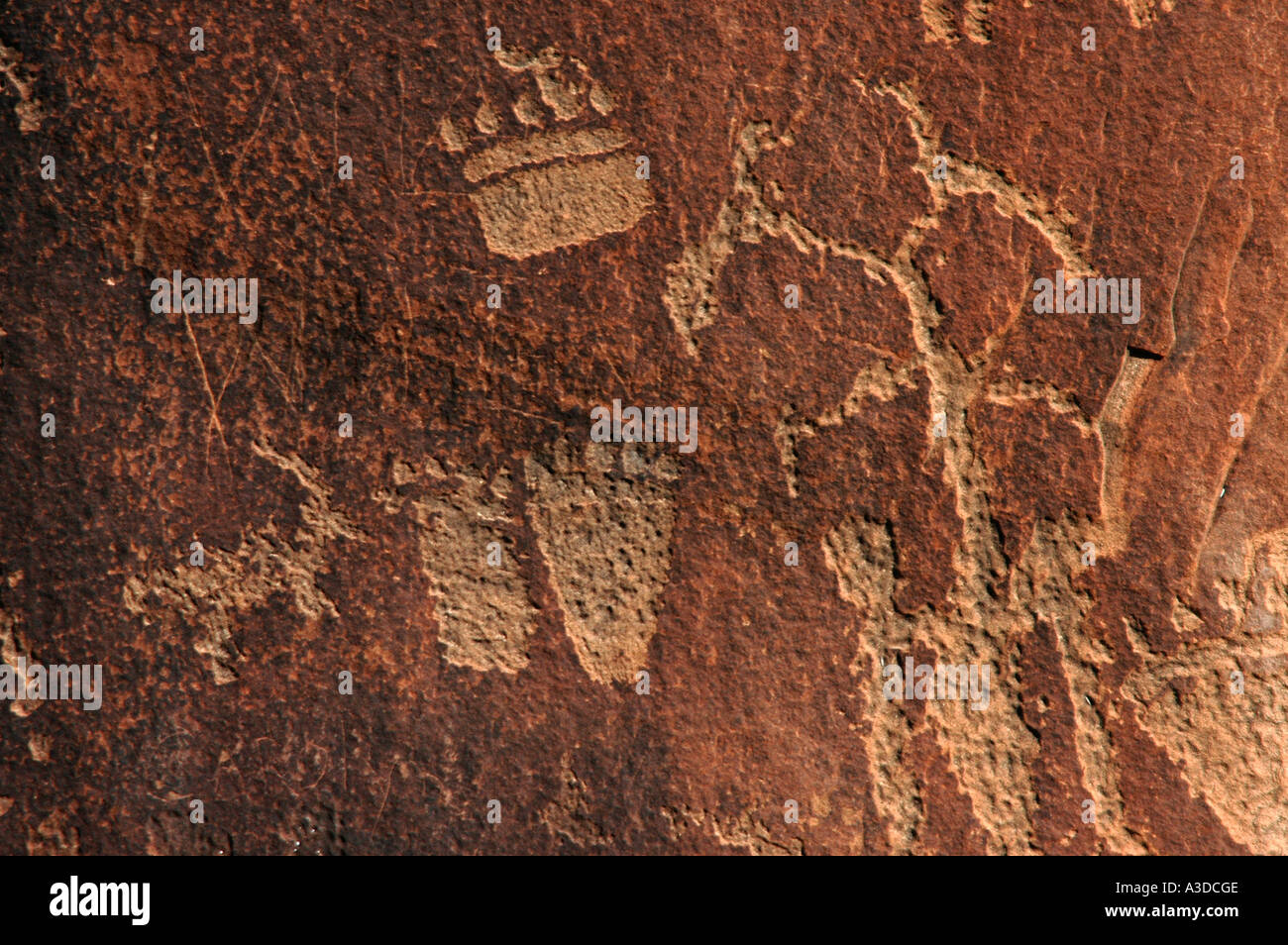 Newspaper Rock is a petroglyph panel etched in sandstone that records ...
