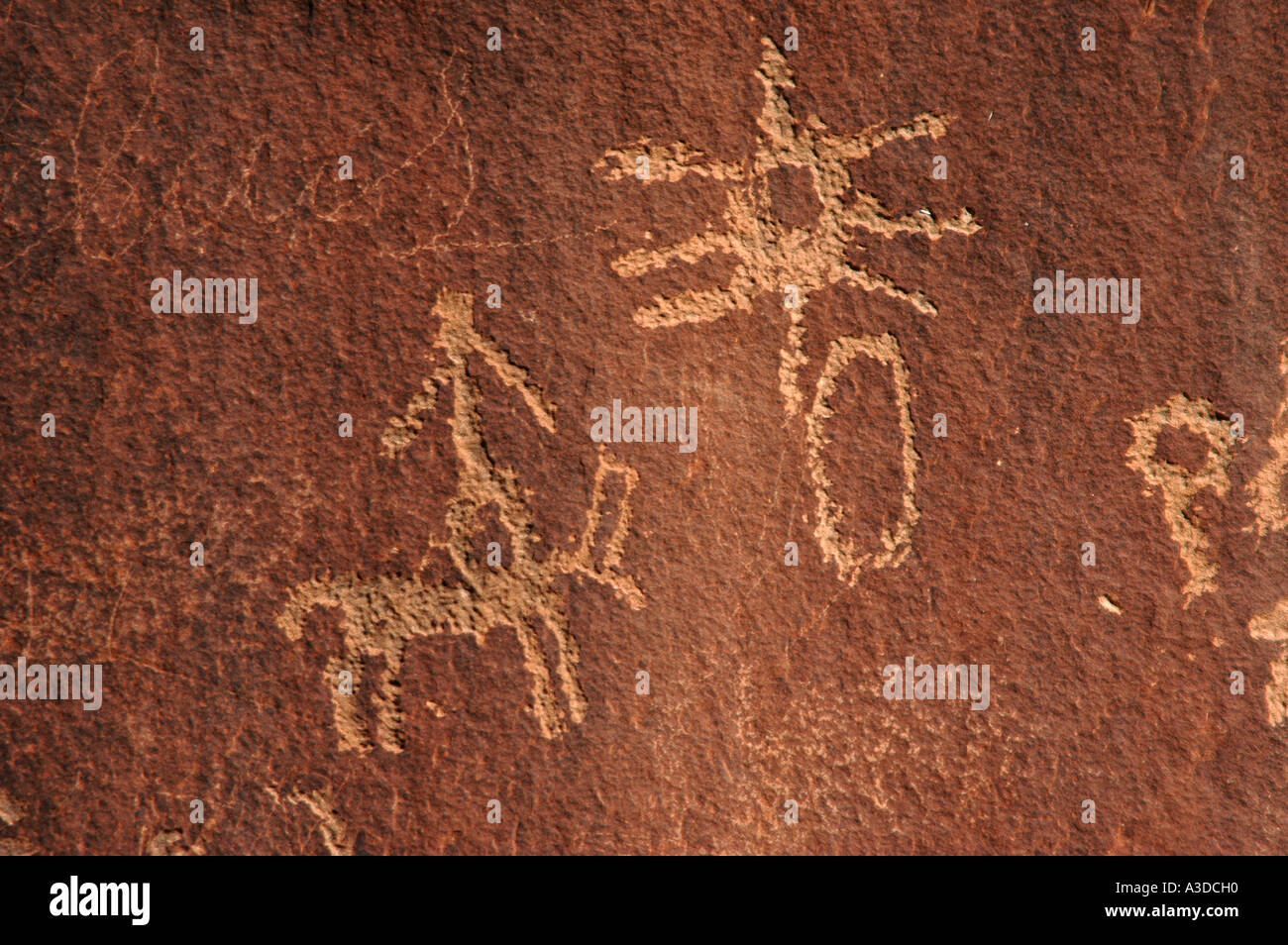 Newspaper Rock is a petroglyph panel etched in sandstone that records ...