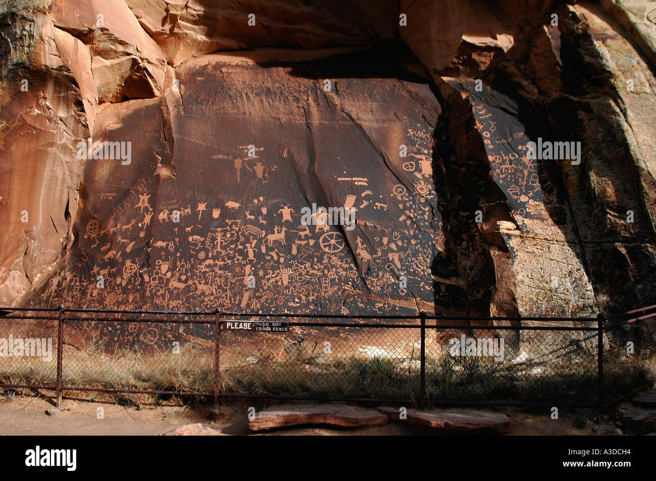 Newspaper Rock is a petroglyph panel etched in sandstone that records ...