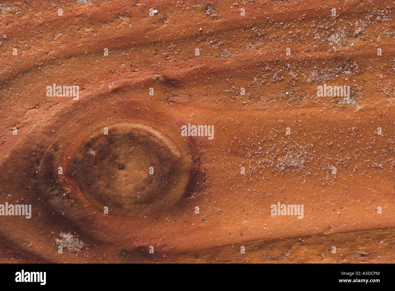 Abstract - Wood with grains of sand Stock Photo - Alamy