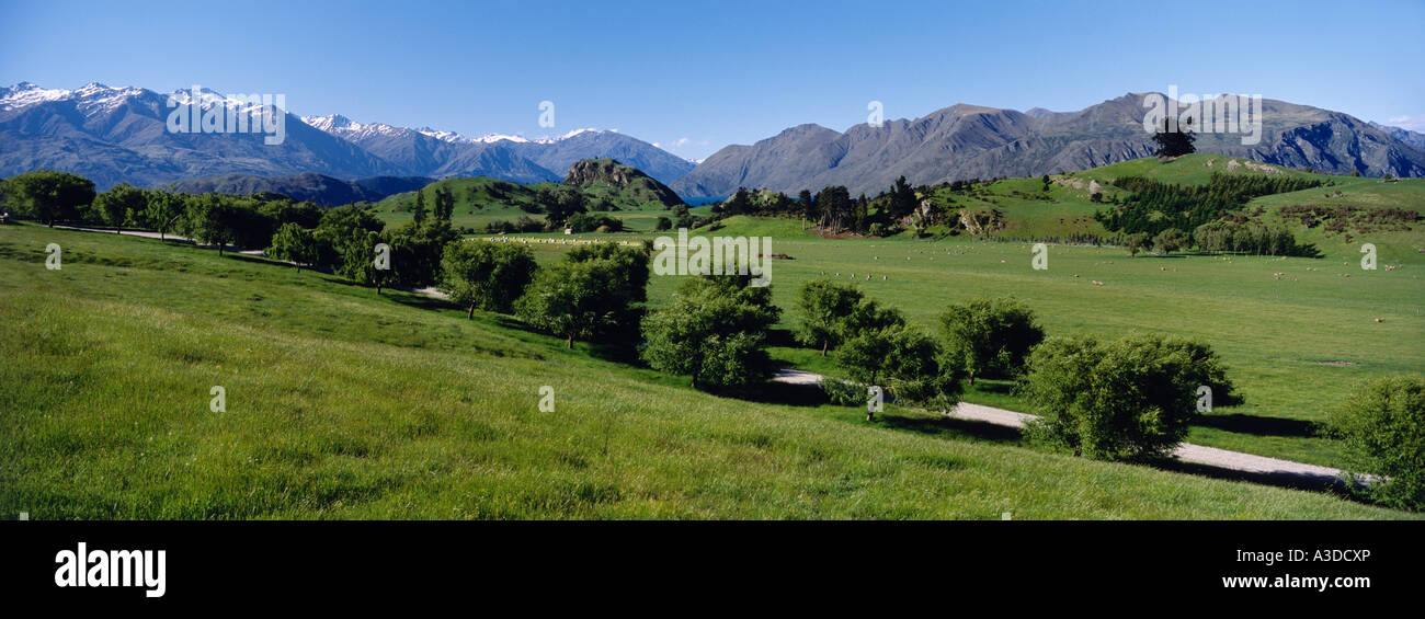 Spring landscape, Wanaka, Central Otago, South island, New Zealand ...