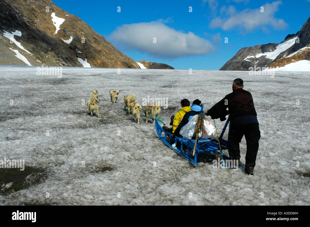Dog-sledge with Husky dogs guests and an Inuit Greenlander on glacier ...
