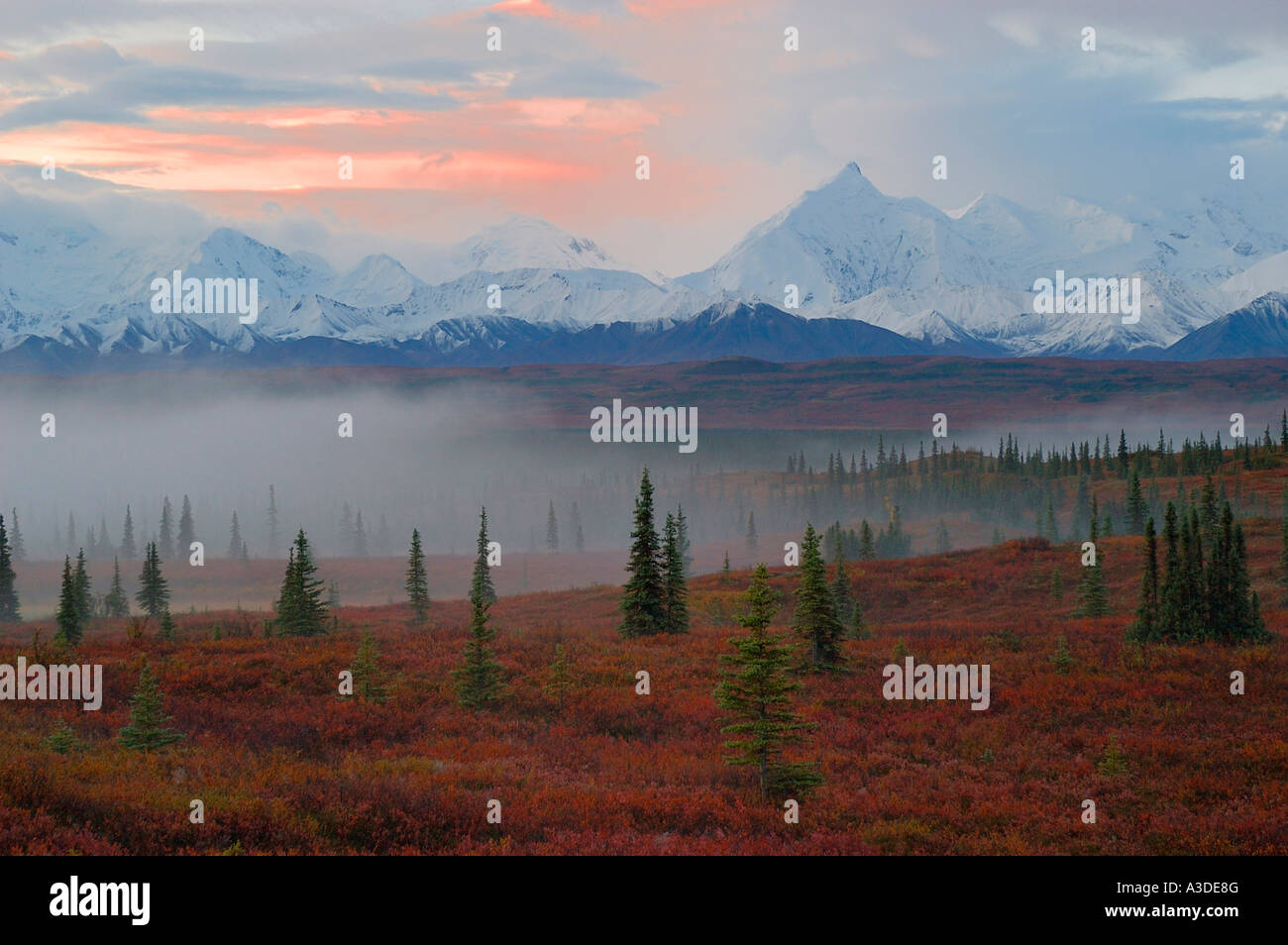 Atmospheric light, sunrise and morning fog, with Alaska Range in ...