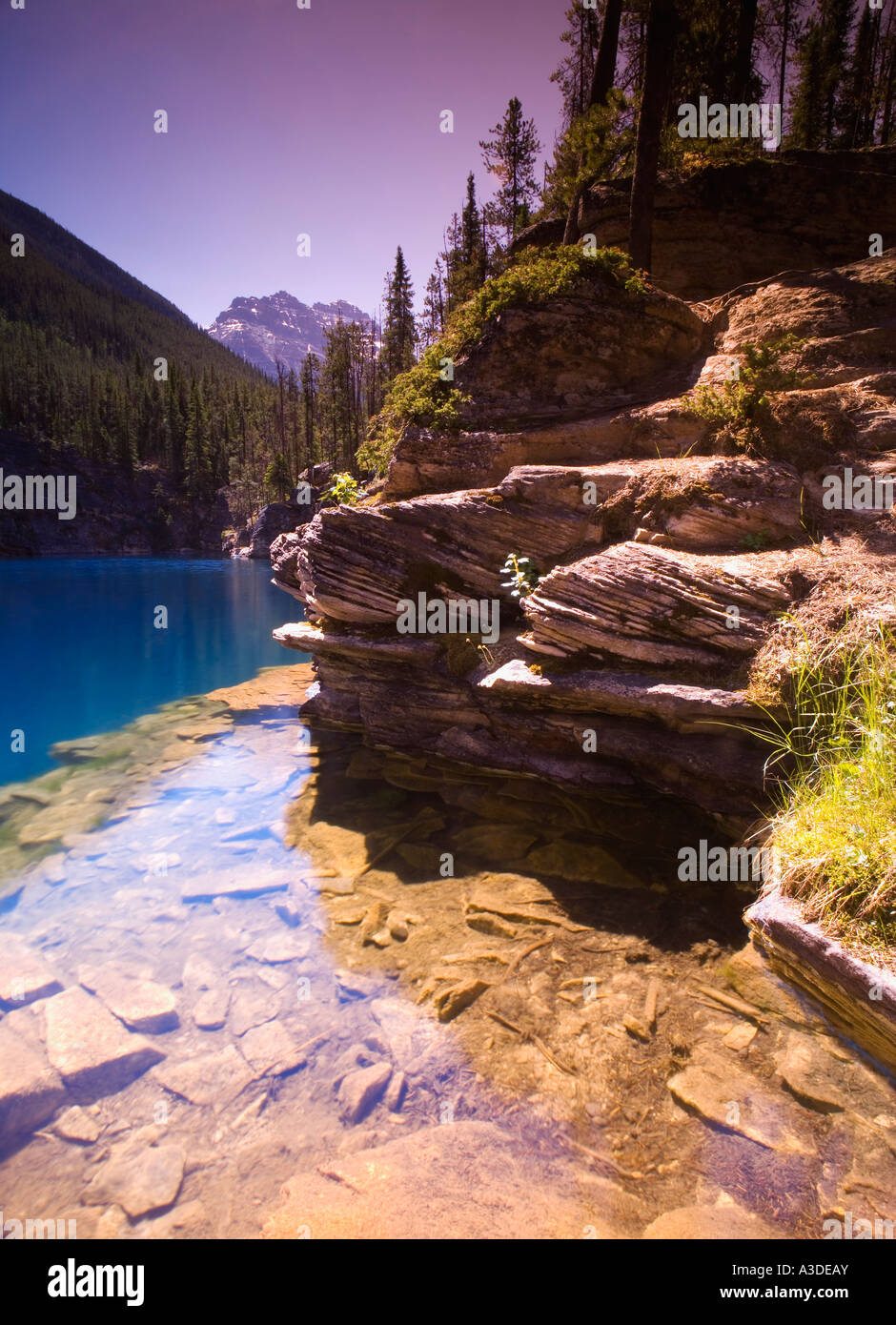 Mountain lake shoreline Stock Photo - Alamy