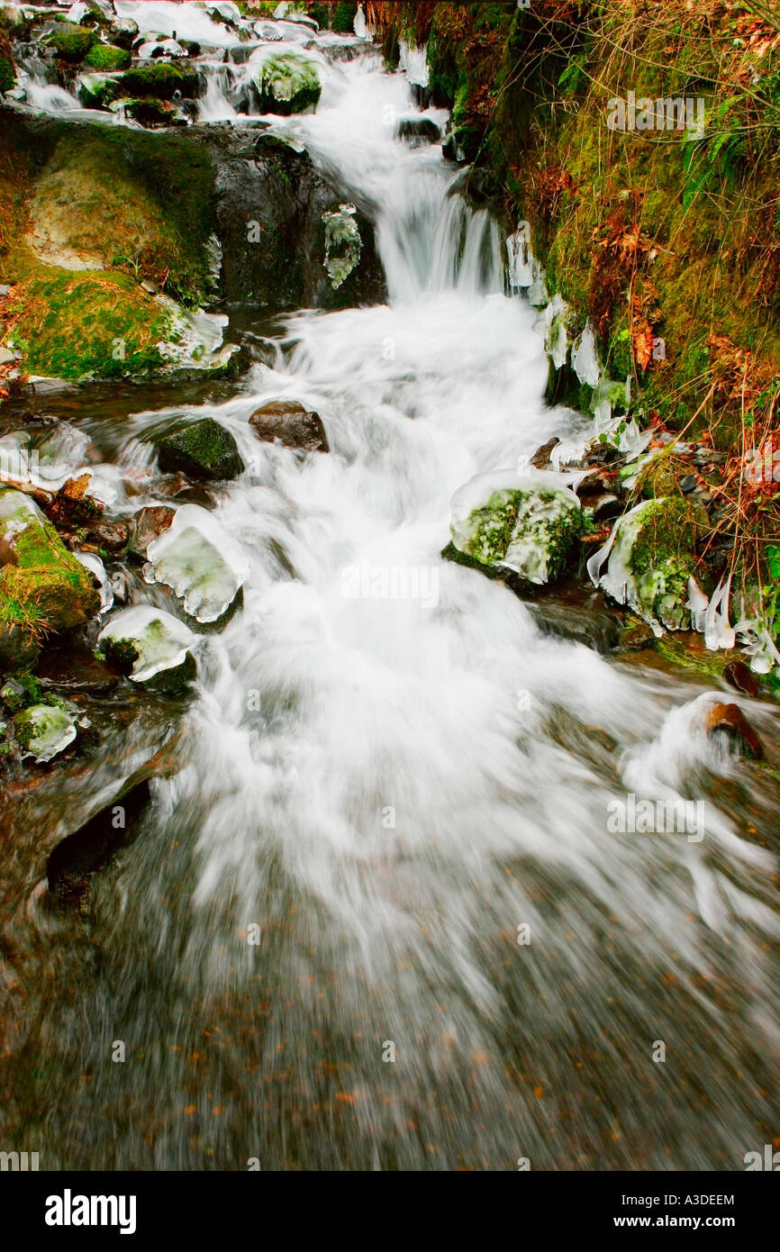 Rushing stream in winter Stock Photo - Alamy