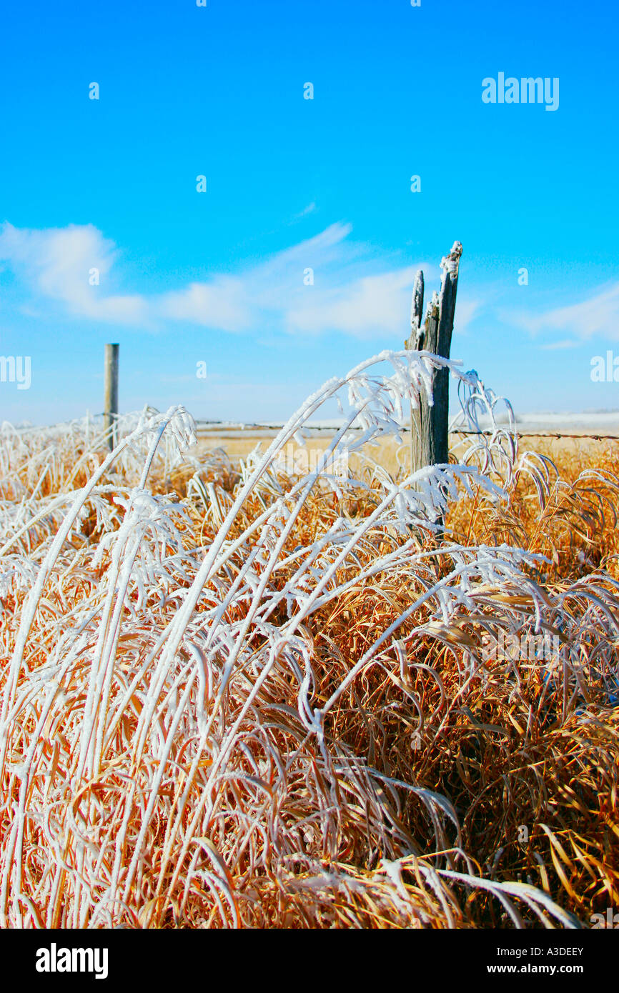 Fence line in the winter Stock Photo - Alamy