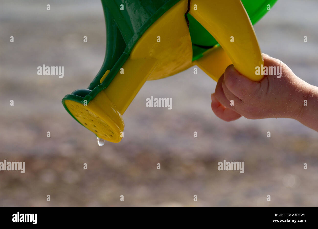 Bailey at Beach Gordon M Grant Photo Stock Photo - Alamy