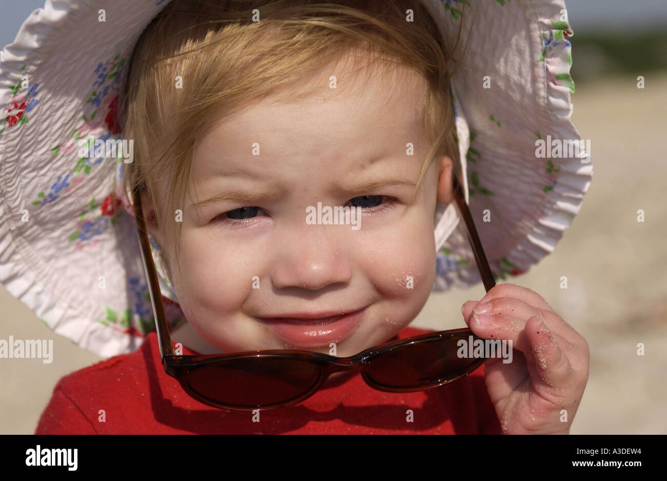 Bailey at Beach Gordon M Grant Photo Stock Photo - Alamy