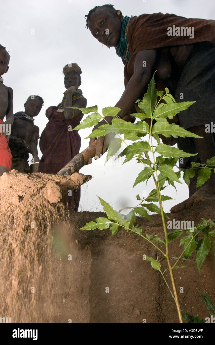 Tree planting with an Oxfam cash for work scheme A women planting her ...