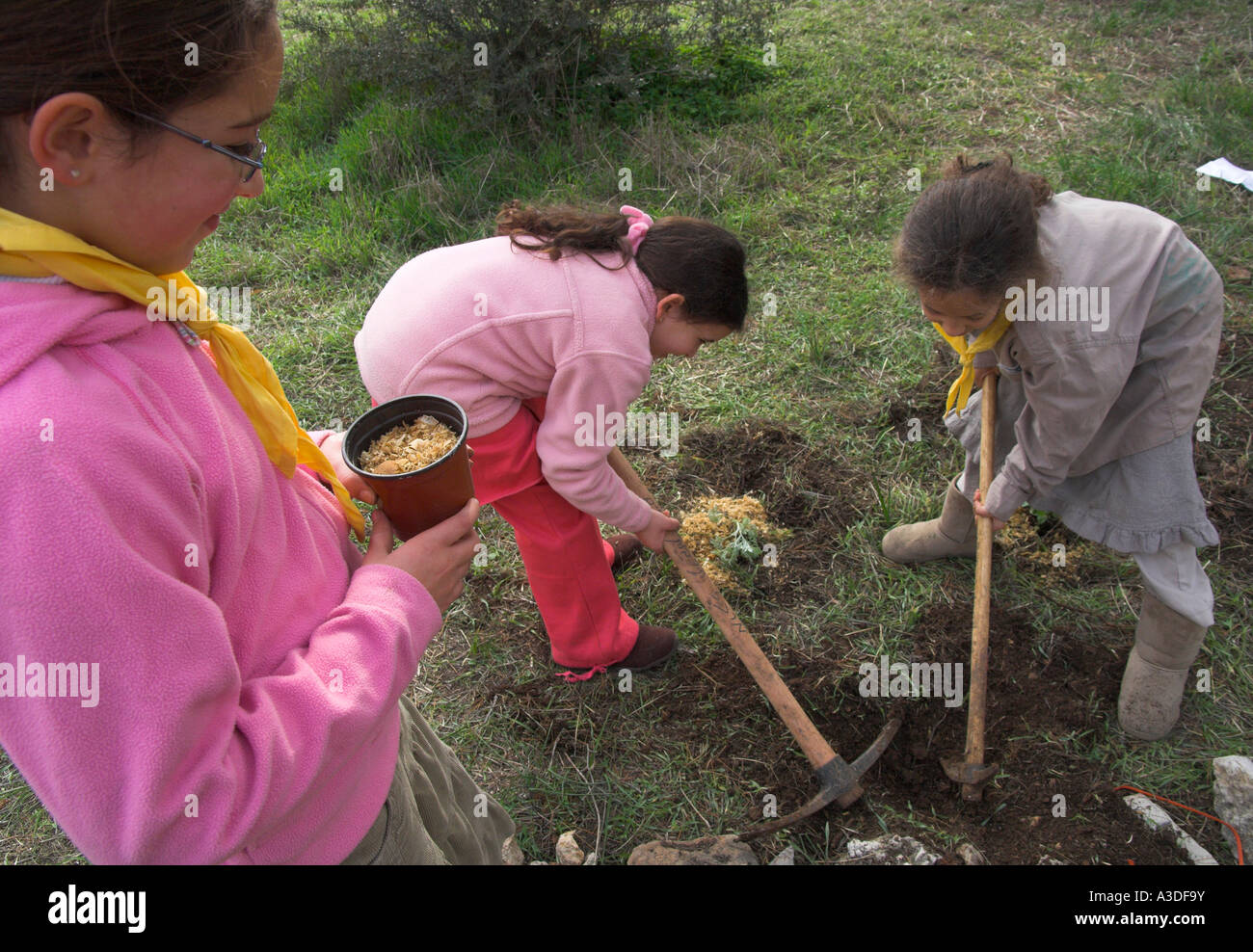 Israel Jerusalem Museum of Nature Tu Bishvat Jewish Festival of Trees ...