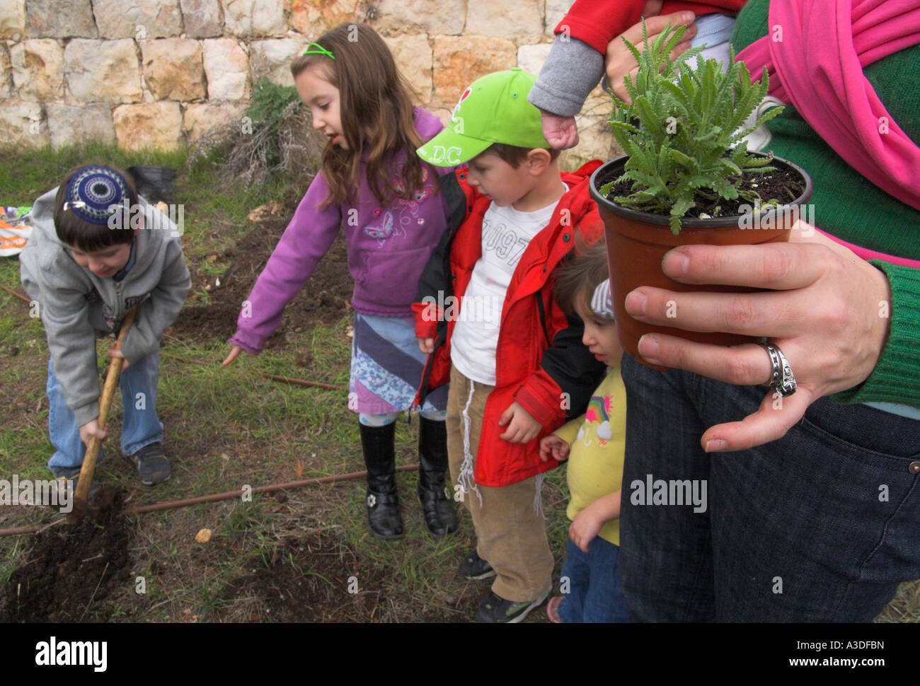 Israel Jerusalem Museum of Nature Tu Bishvat Jewish Festival of Trees ...