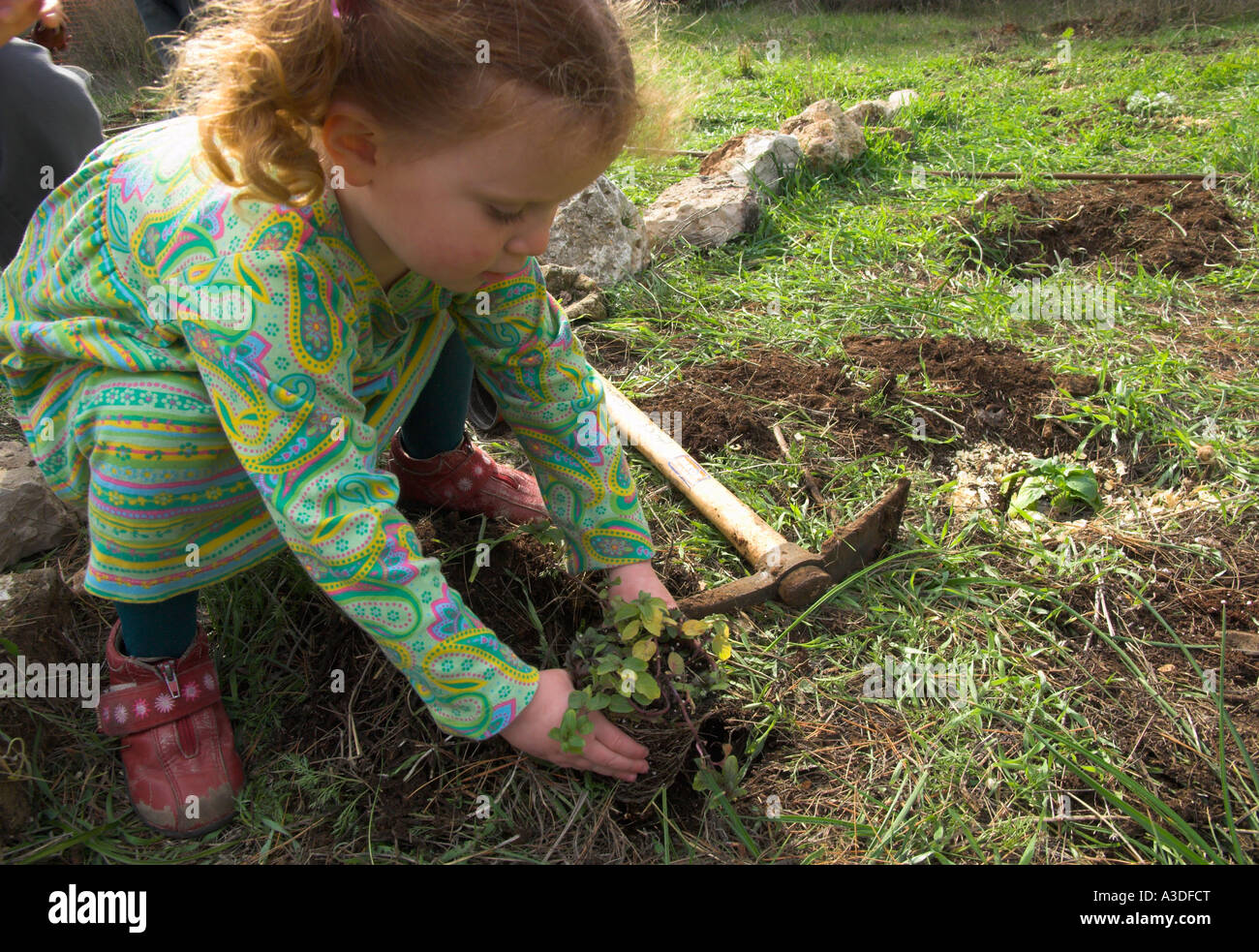 Israel Jerusalem Museum of Nature Tu Bishvat Jewish Festival of Trees ...