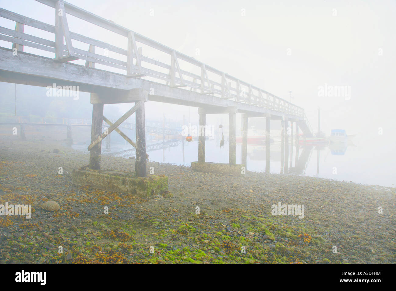 Wooden bridge over water Stock Photo - Alamy