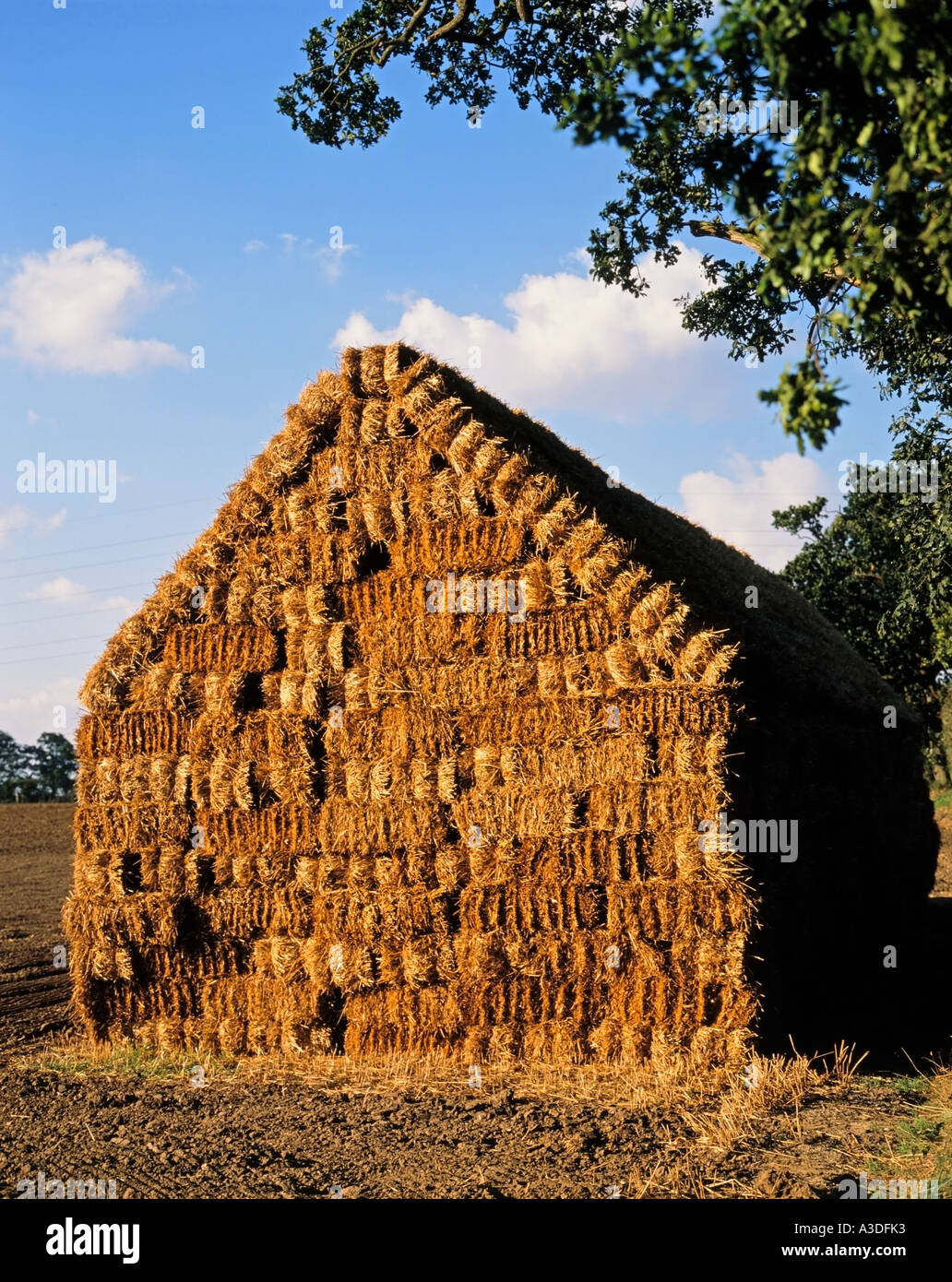 Haystack in the shape of a house, Norfolk, England, United Kingdom ...
