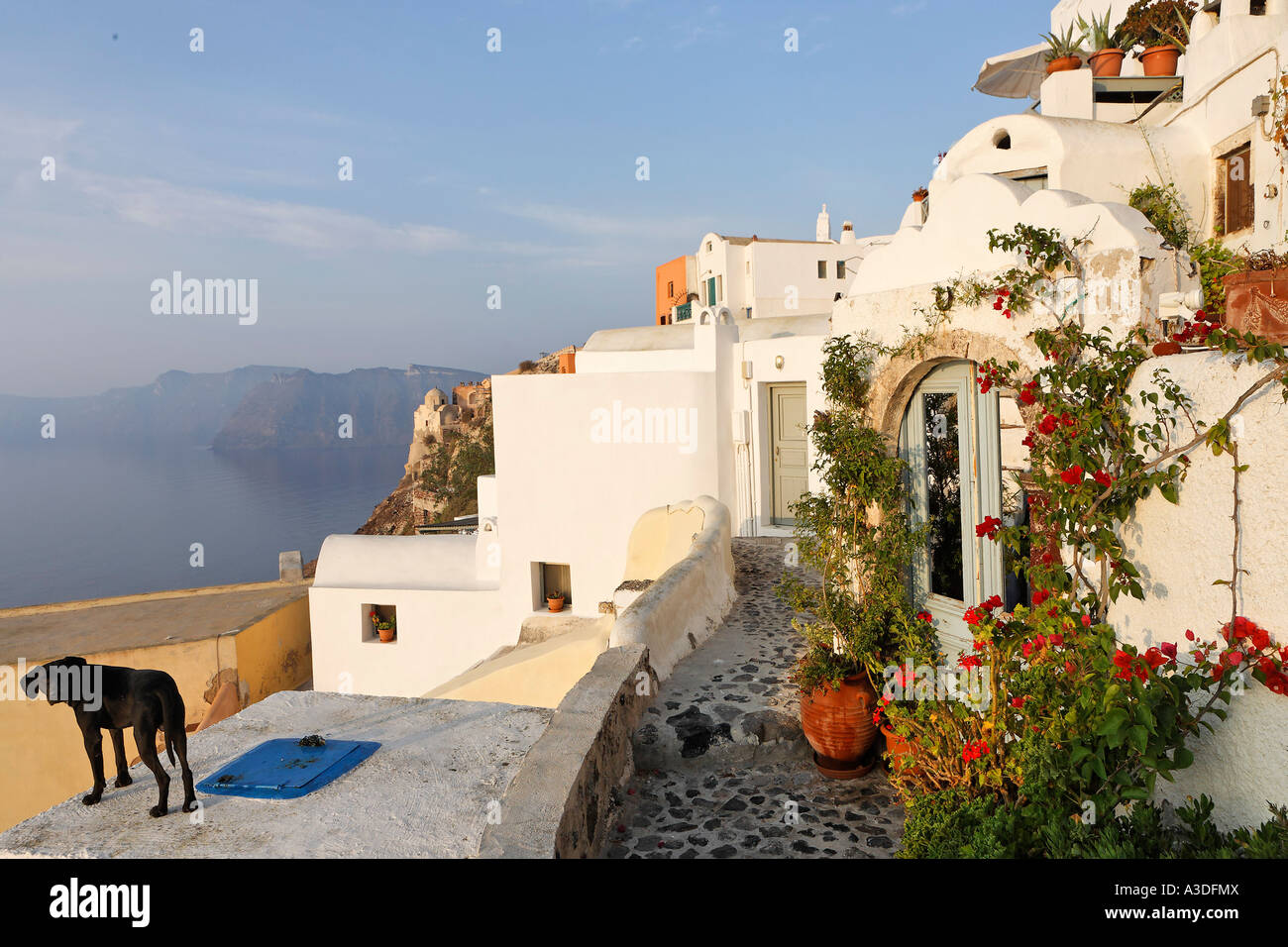 Houses in the typical cycladic architecture, Oia, Santorini, Greece ...