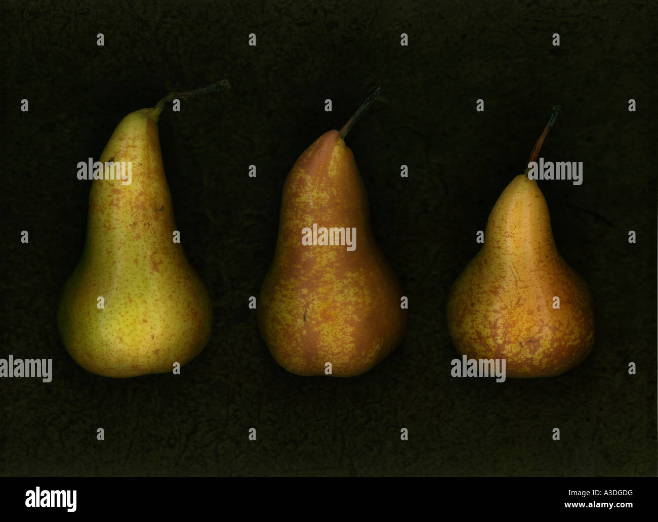 Three golden pears Stock Photo - Alamy