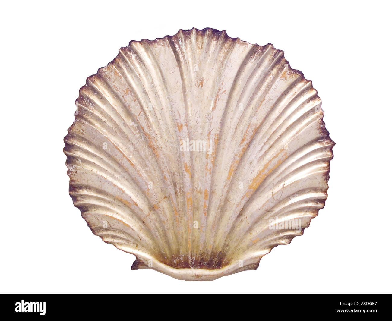 Extreme differences hi-res stock photography and images - Alamy