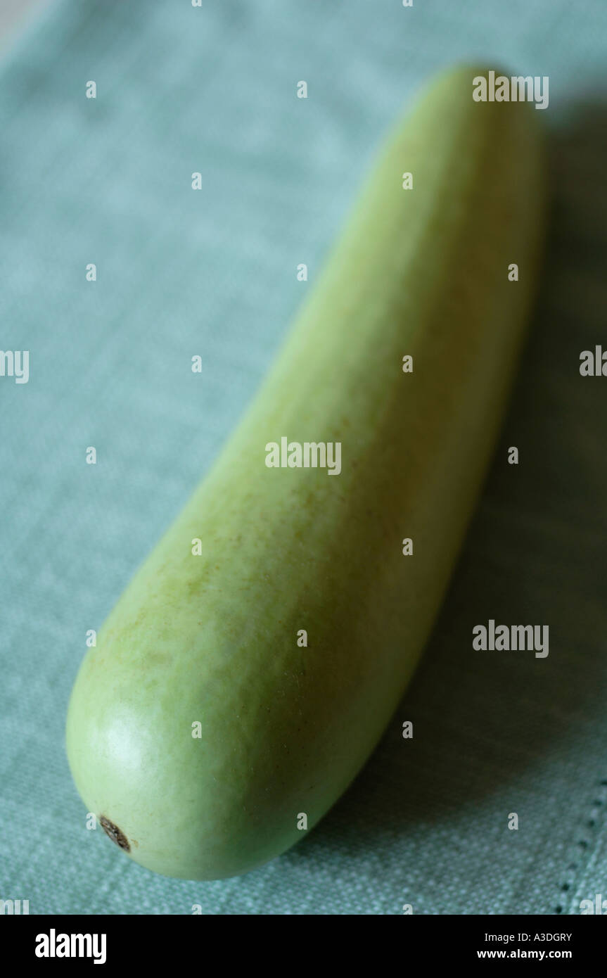 Dudhi or bottle gourd Stock Photo - Alamy