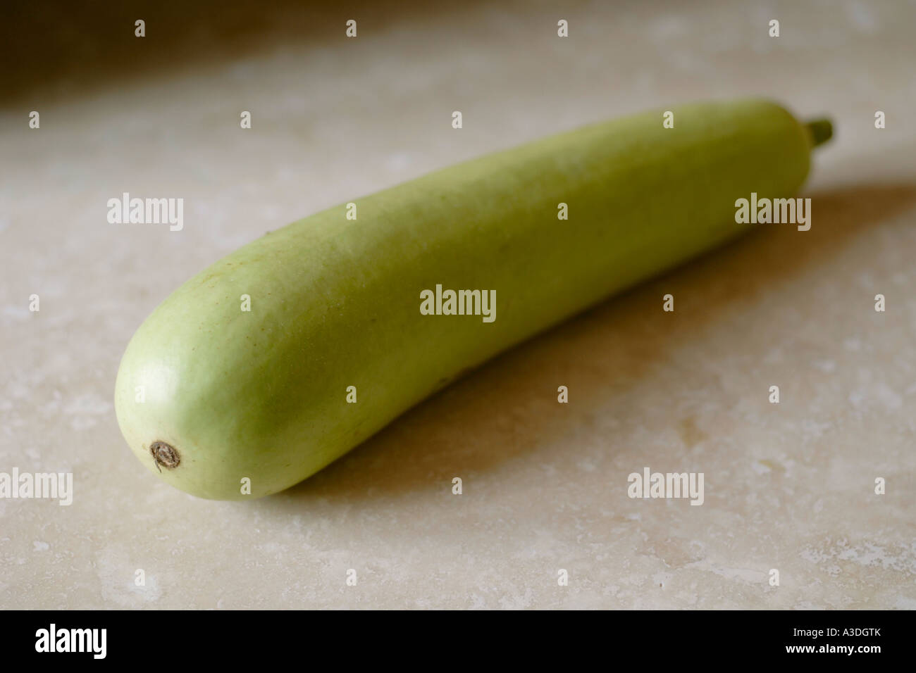 Dudhi or bottle gourd Stock Photo - Alamy