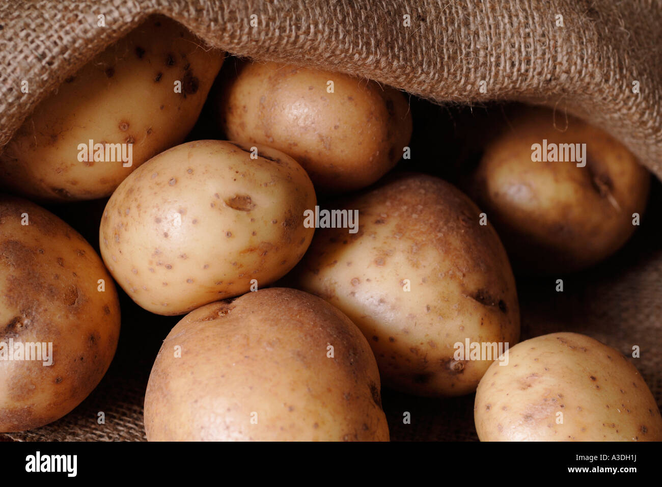 King Edward potatoes spilling from sack Stock Photo - Alamy