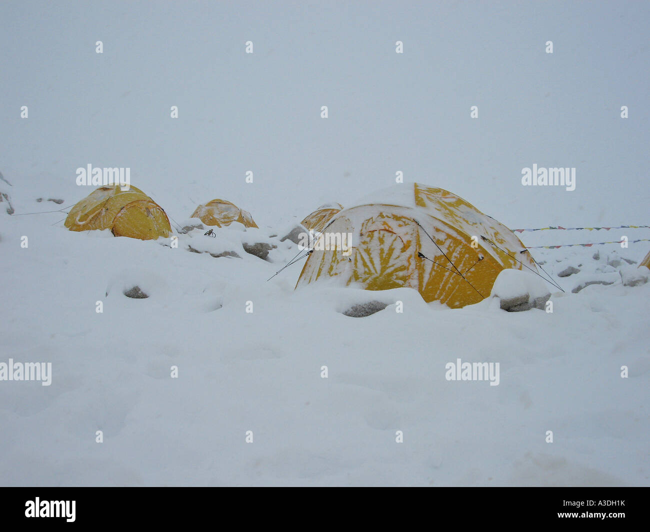 Snow covered tents in the Mount Everest Base Camp, 5300 m, Himalaya ...