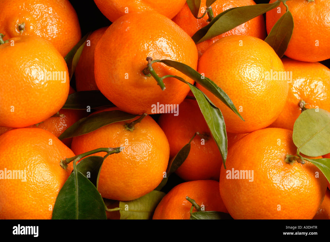 Clementine citrus fruit hi-res stock photography and images - Alamy