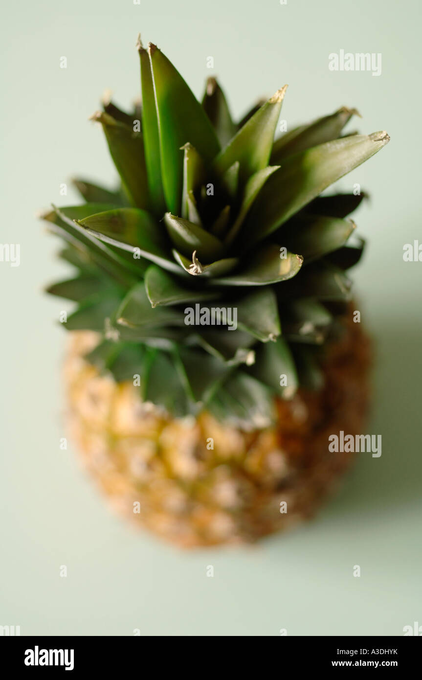 Pineapple in shallow focus Stock Photo - Alamy
