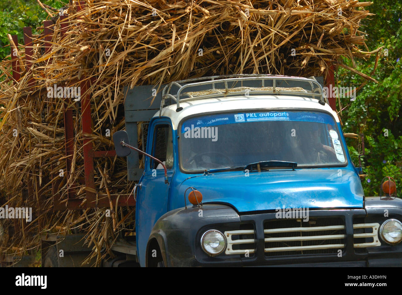 Sugar Cane Transport High Resolution Stock Photography and Images - Alamy