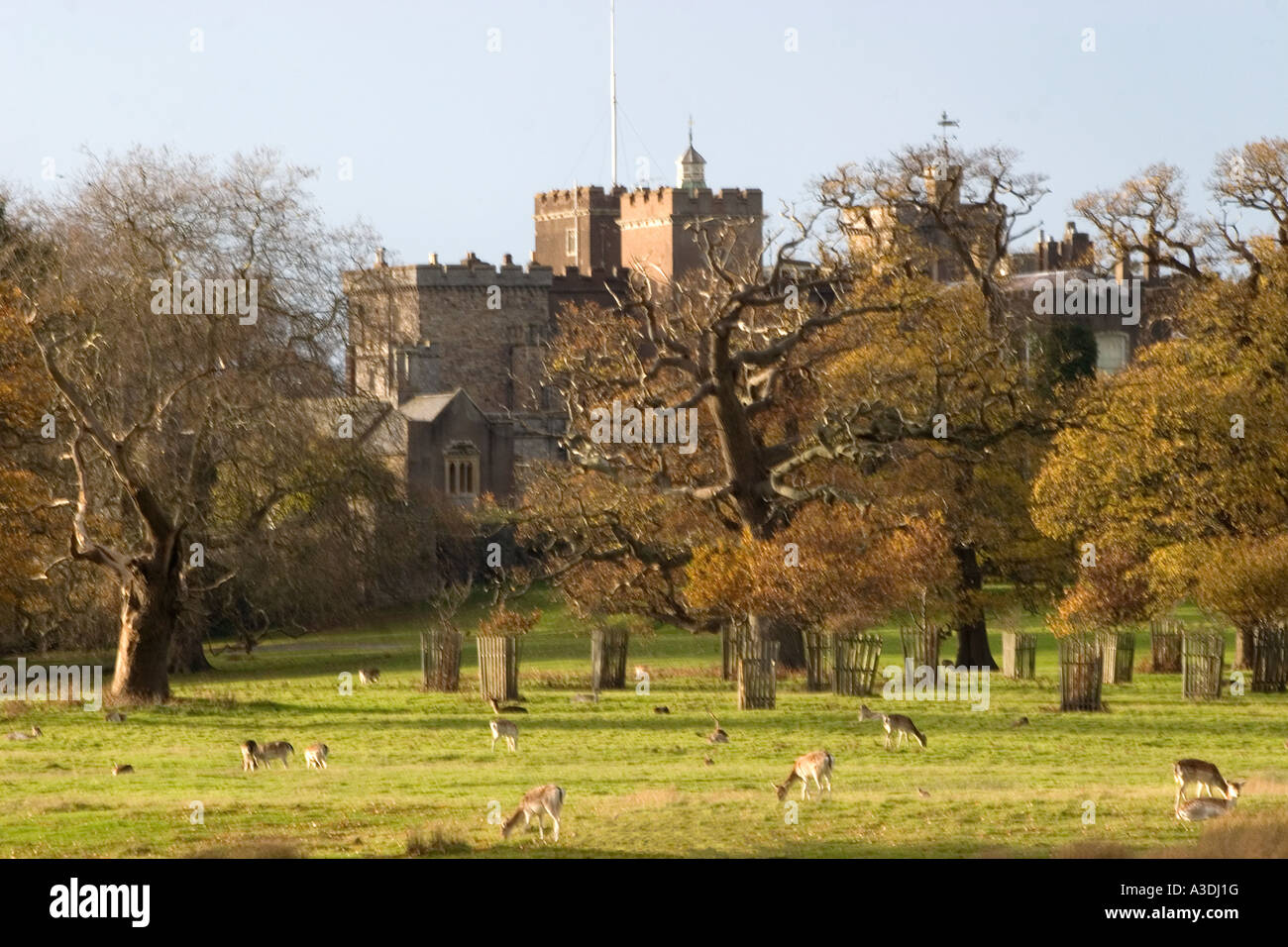 Powderham castle hi-res stock photography and images - Alamy